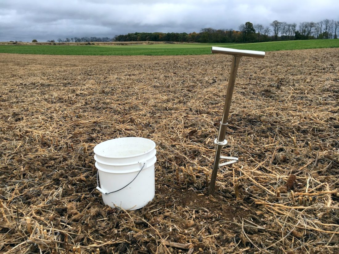 Test your fields for Soybean Cyst Nematode | News, Sports, Jobs - The ...